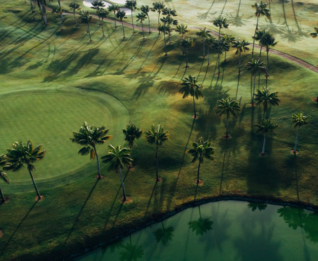 Abama Hotels Golf in Tenerife| Official Website